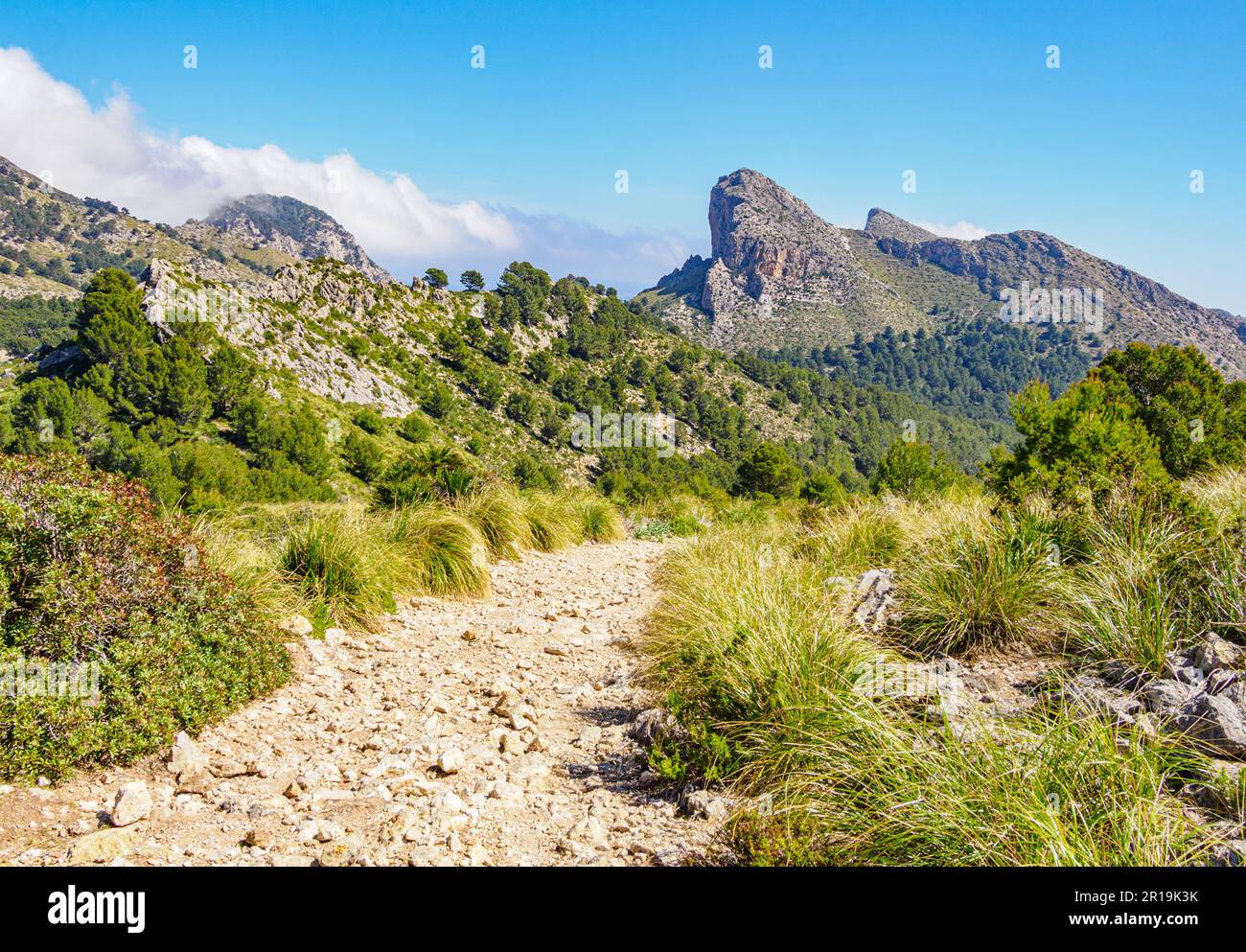 The rugged Formentor Peninsula from the walking trail leading to Na ...