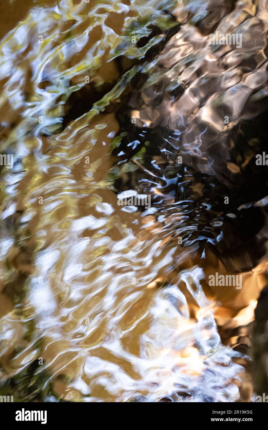 Reflections in water flow and riverbed in close-up, Kemeri National ...