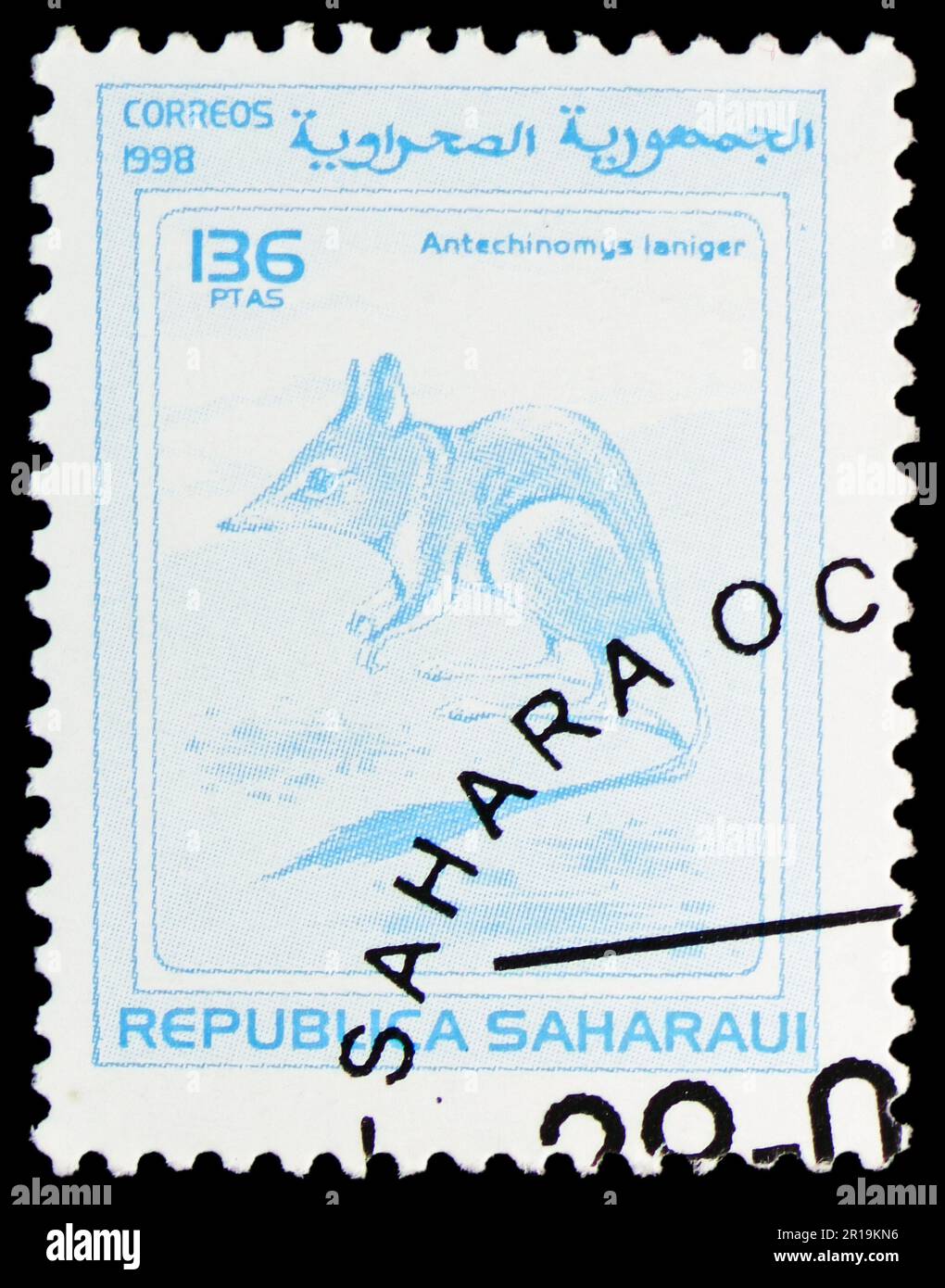 Kultarr hi-res stock photography and images - Alamy