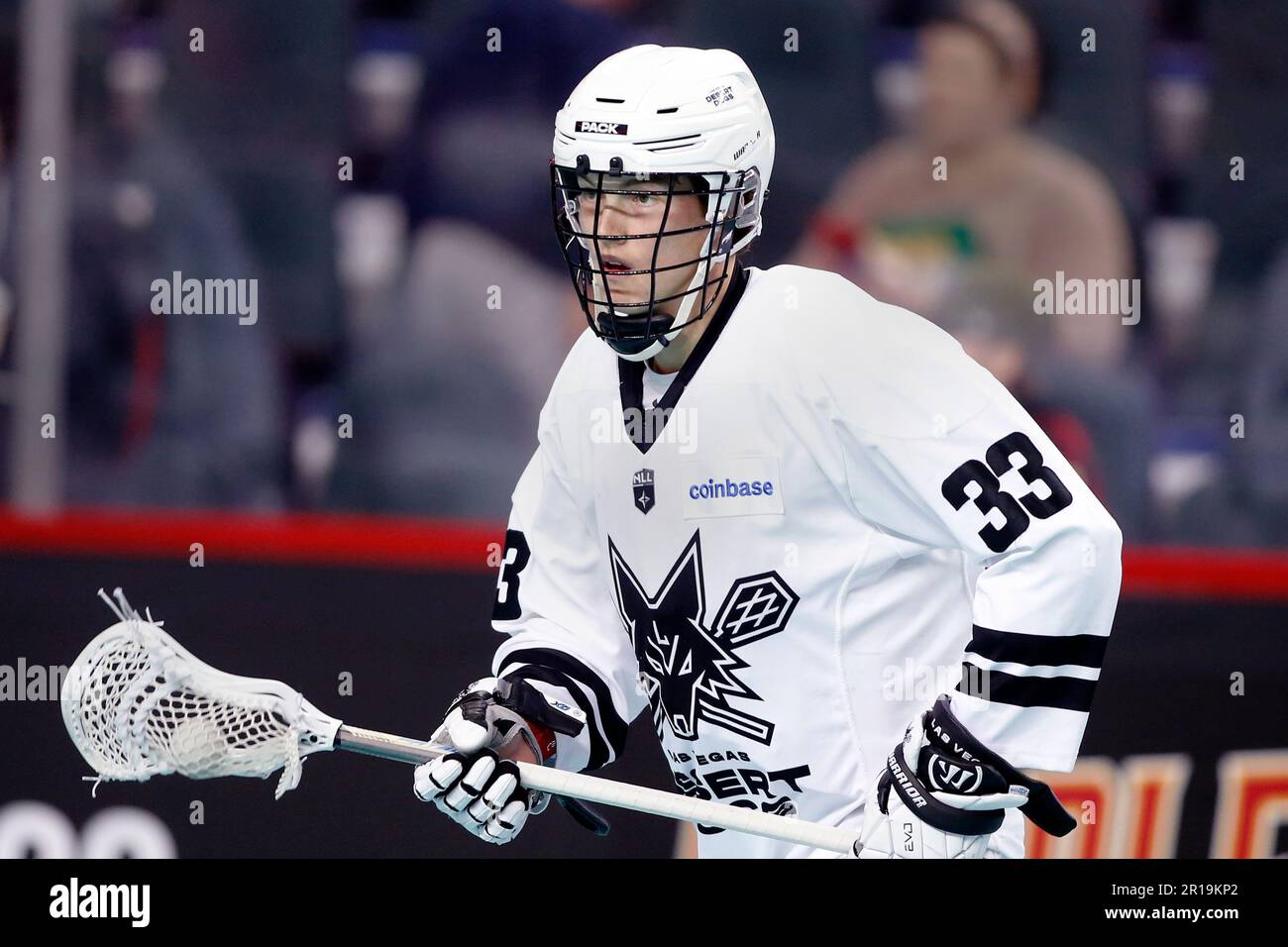 NLL (National Lacross League) profile photo on Las Vegas Desert Dogs ...