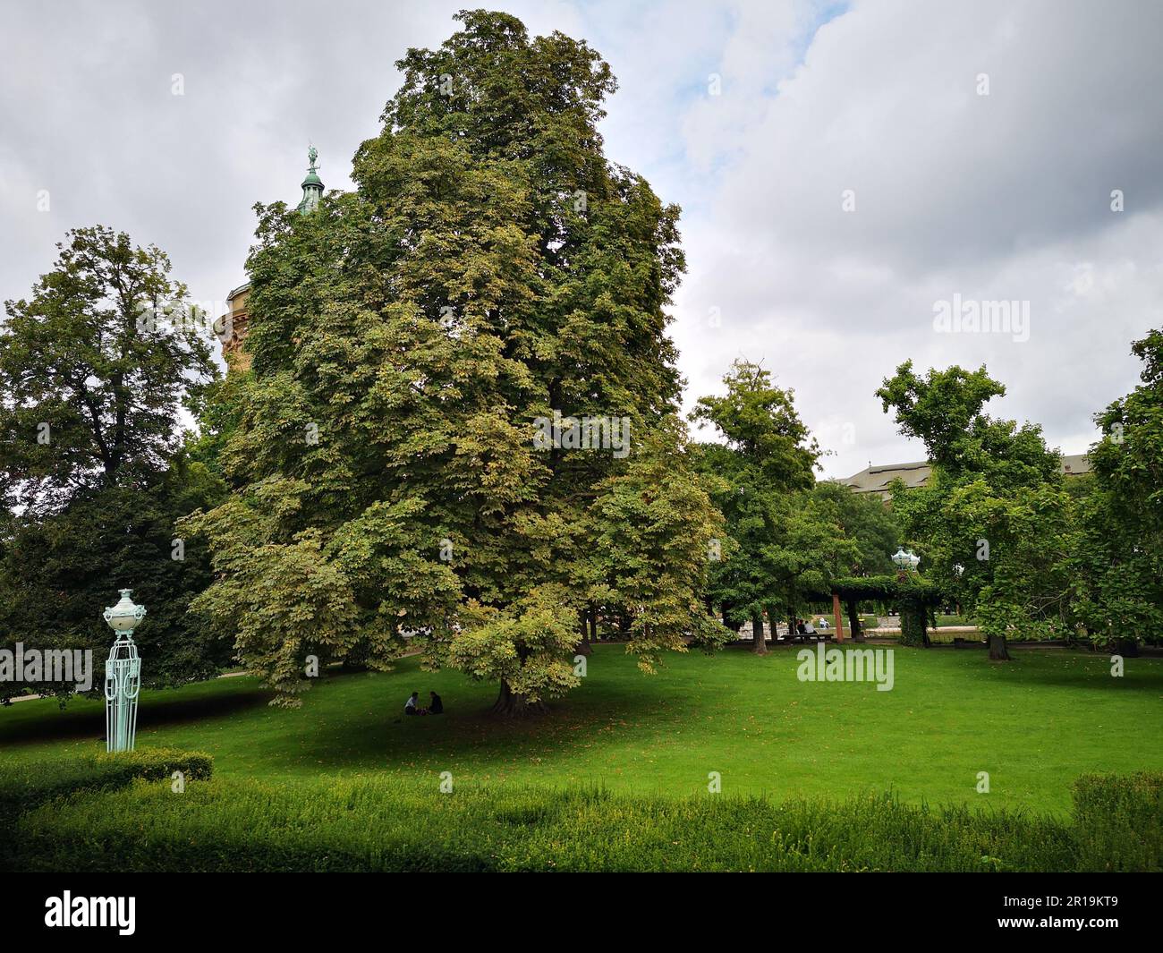 An expansive picnic park with lush vegetation of trees and shrubs Stock ...