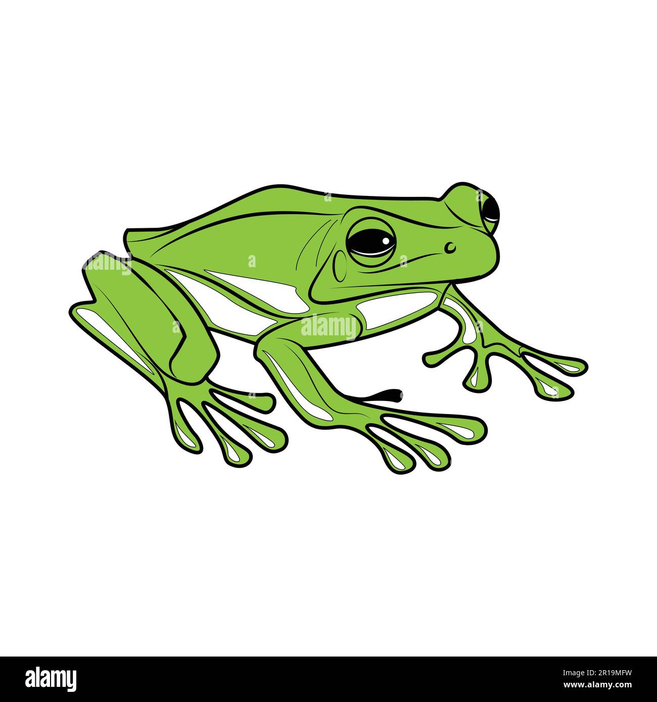 Green Frog On A White Background Vector Illustration For Your Design Stock Vector Image And Art 