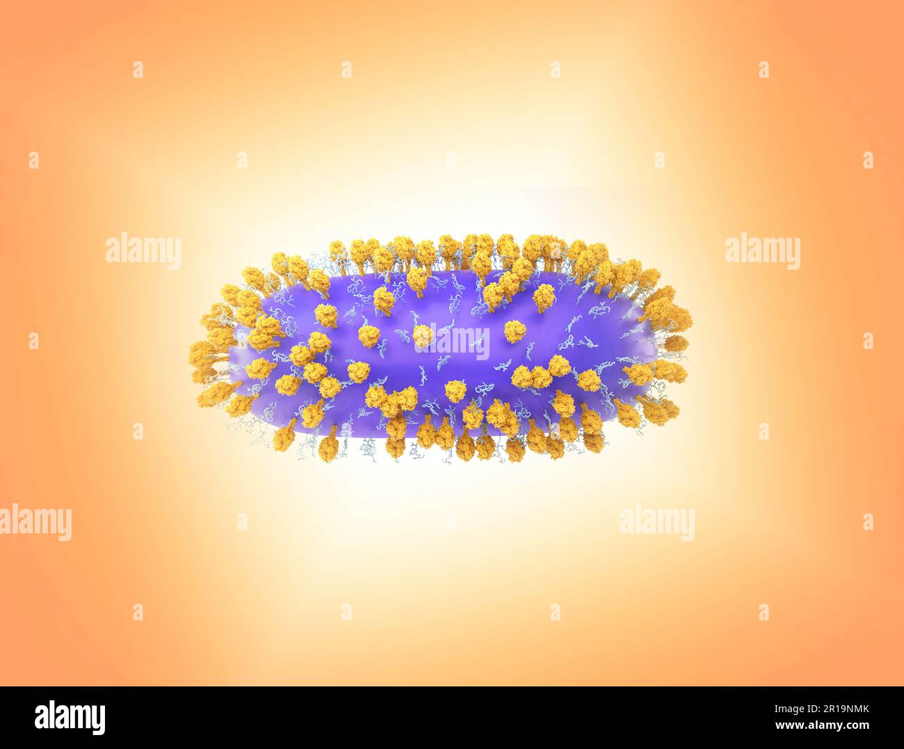 Human Respiratory Syncytial Virus (RSV) Creative layout featuring 3D ...