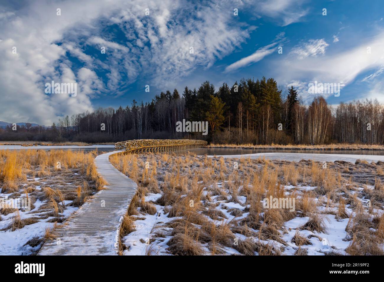 nature reserve Olsina, Sumava National Park, Czech Republic Stock Photo ...