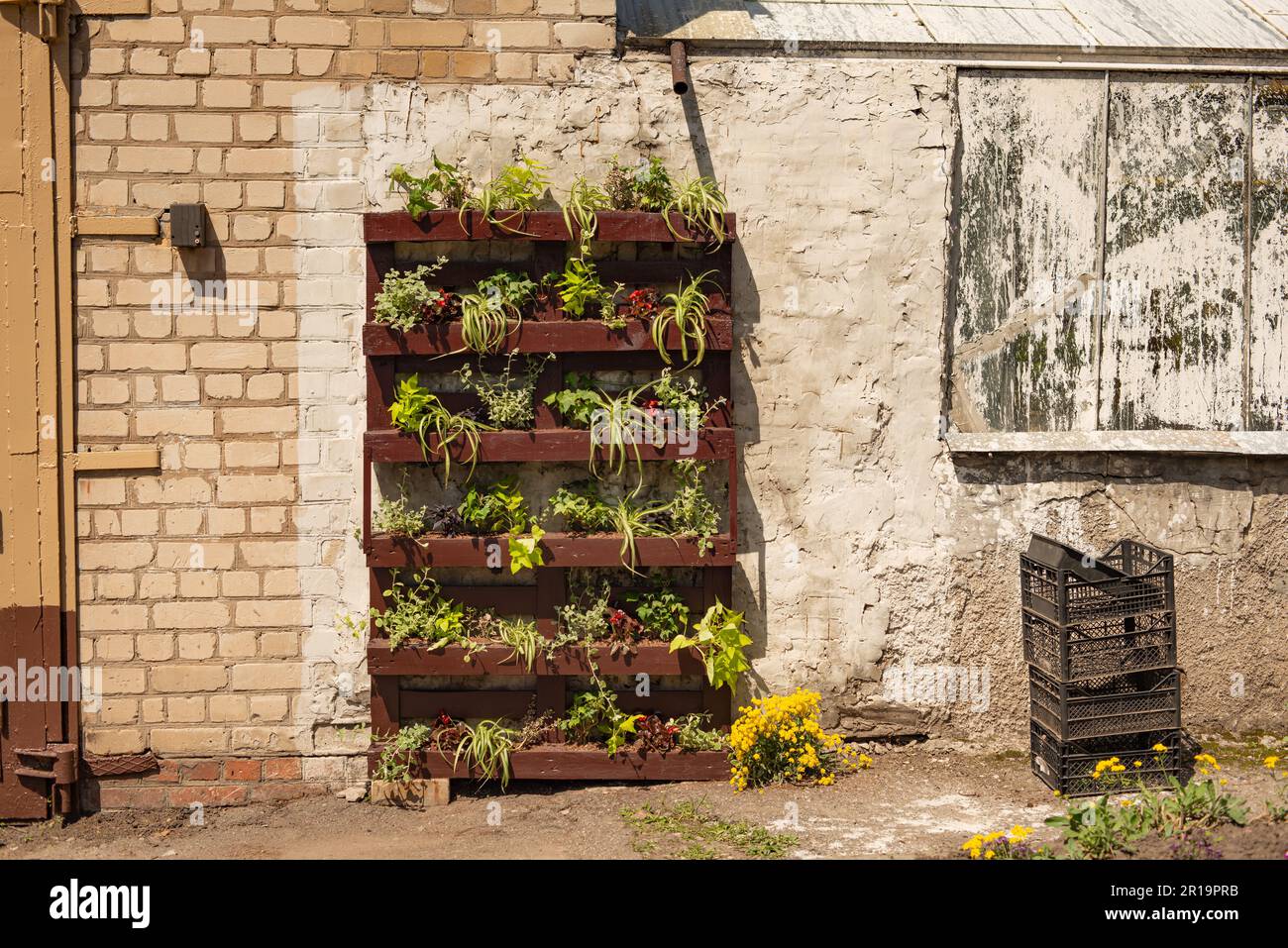 many flower pots on the shelves in the garden center Stock Photo - Alamy
