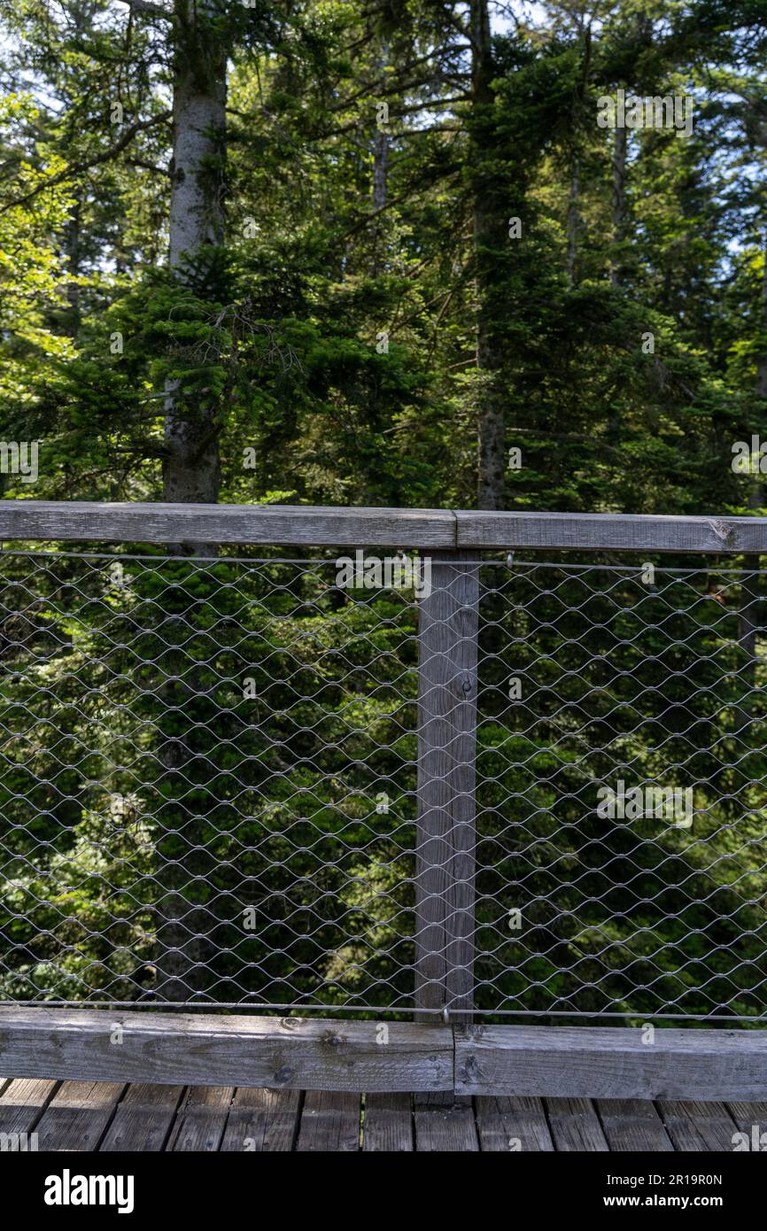 The chain-link fence against the background of lush greenery Stock ...