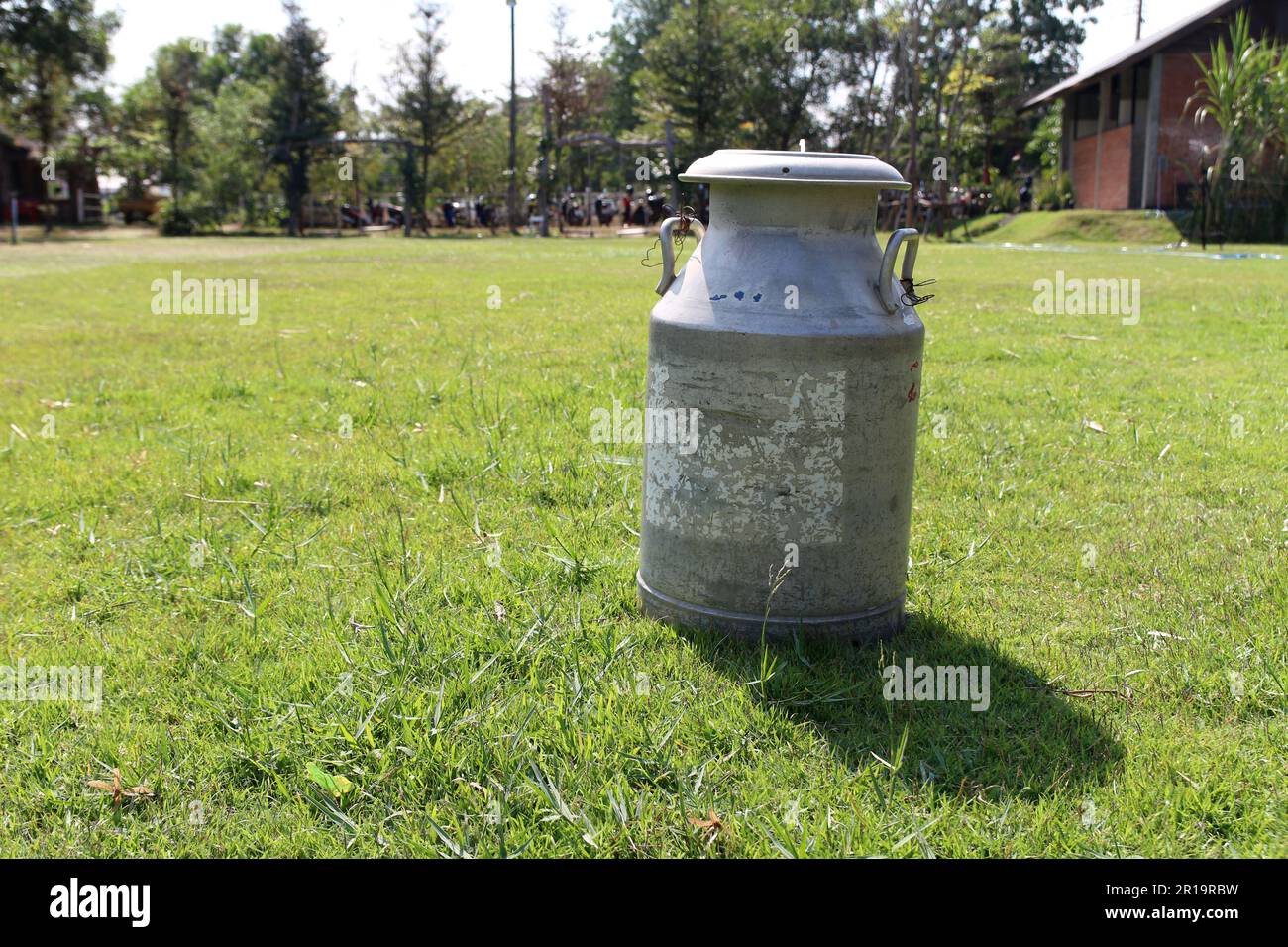 A close-up shot of a cow's milk bucket on a lush green meadow Stock ...