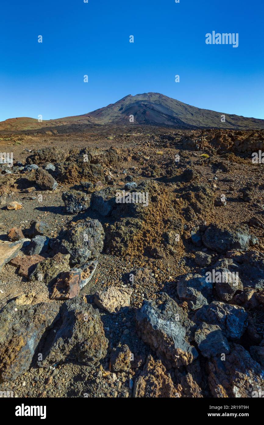 Natura a tenerife hi-res stock photography and images - Alamy
