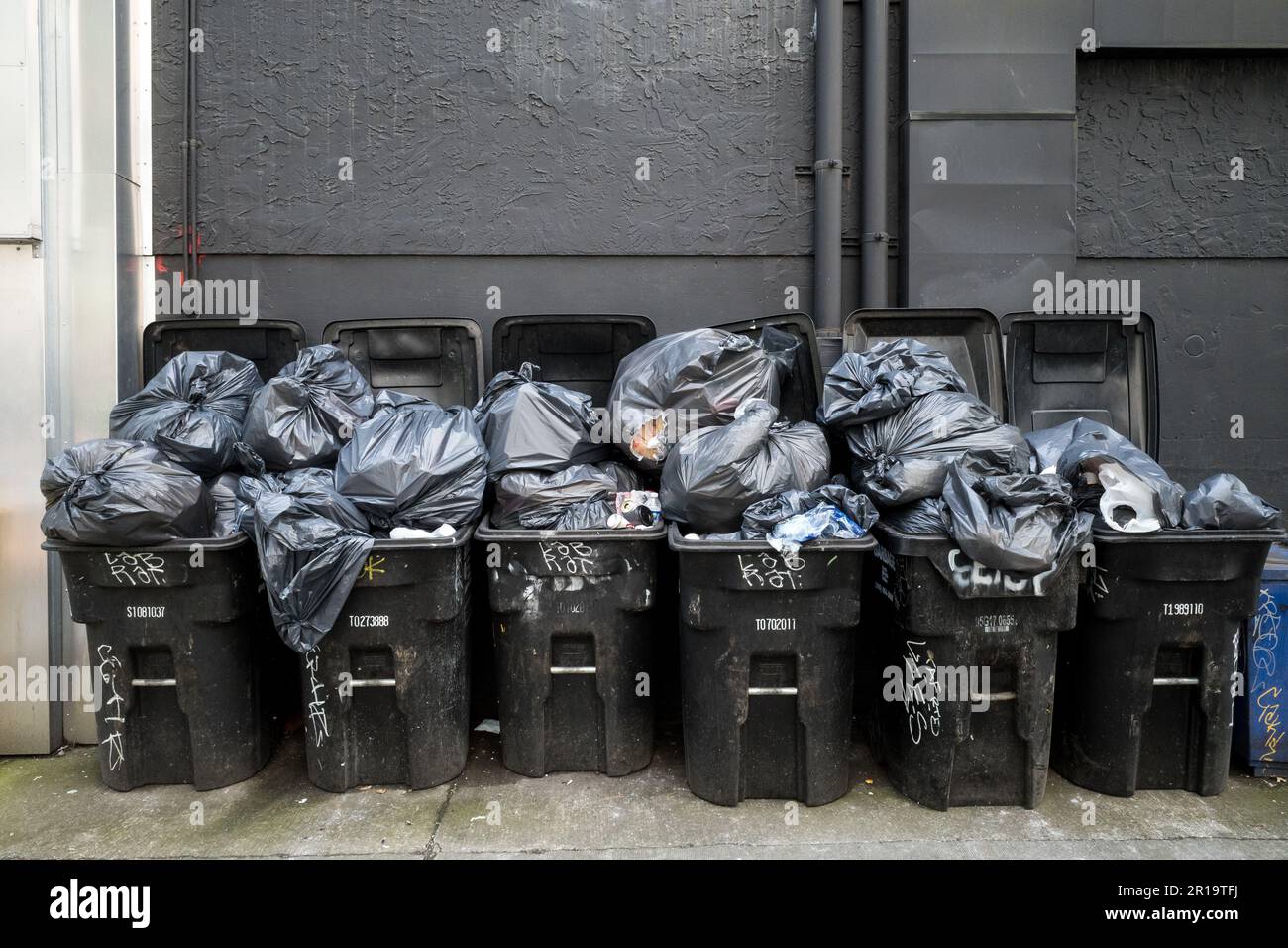Seattle, USA. 18 Mar 2023. Garbage in an Alley downtown Stock Photo - Alamy