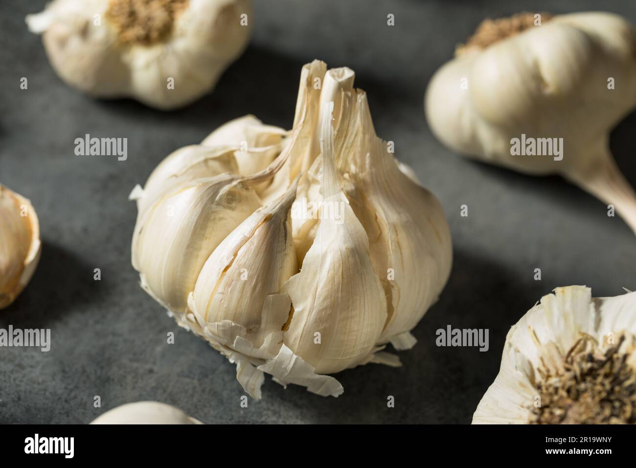 Organic Raw White Garlic Bulbs Ready to Cook Stock Photo - Alamy