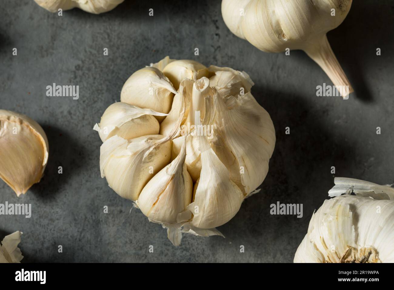 Organic Raw White Garlic Bulbs Ready to Cook Stock Photo - Alamy