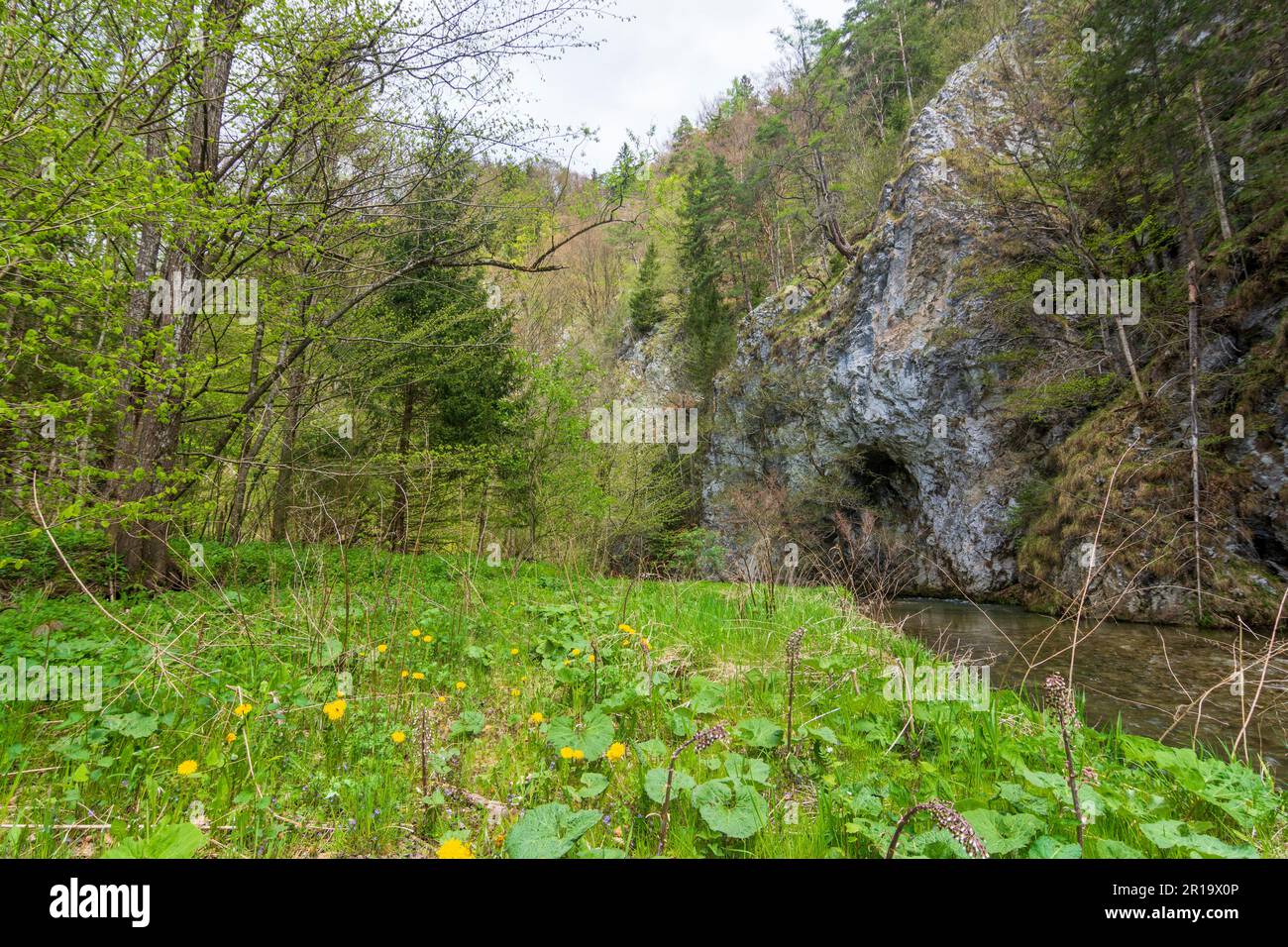 Gutenberg-Stenzengreith: gorge Raabklamm, river Raab in Steirisches ...