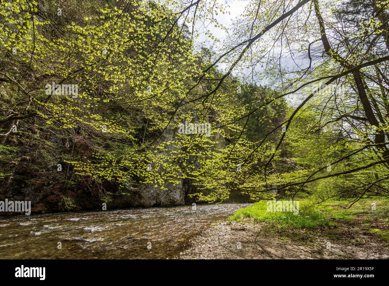 Gutenberg-Stenzengreith: gorge Raabklamm, river Raab in Steirisches ...