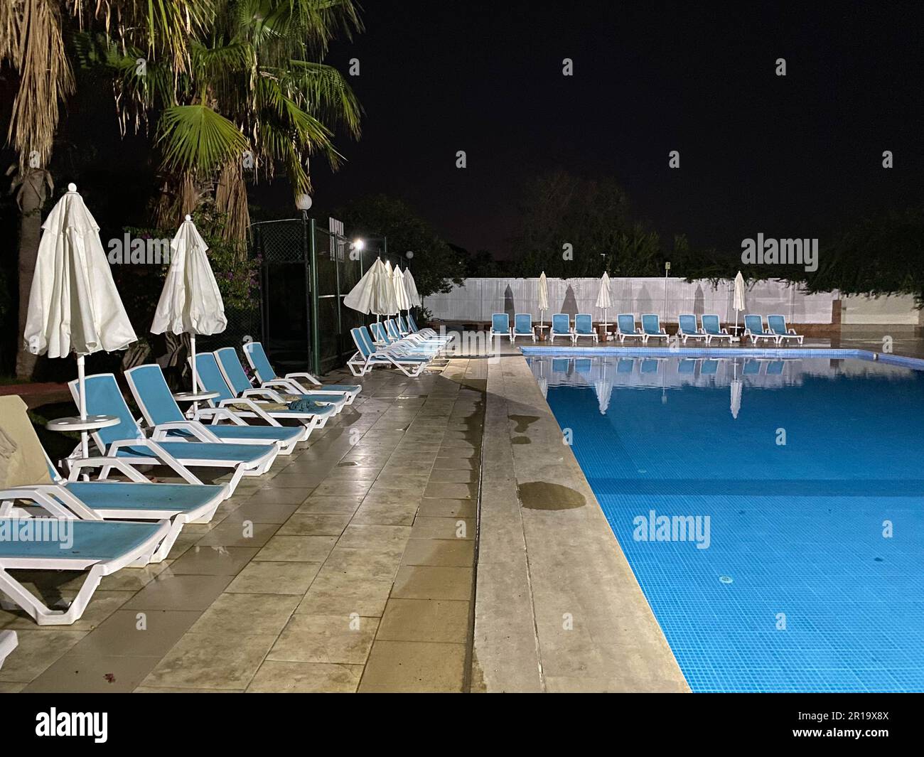 Beautiful night swimming pool with umbrellas and deck chairs and palm ...