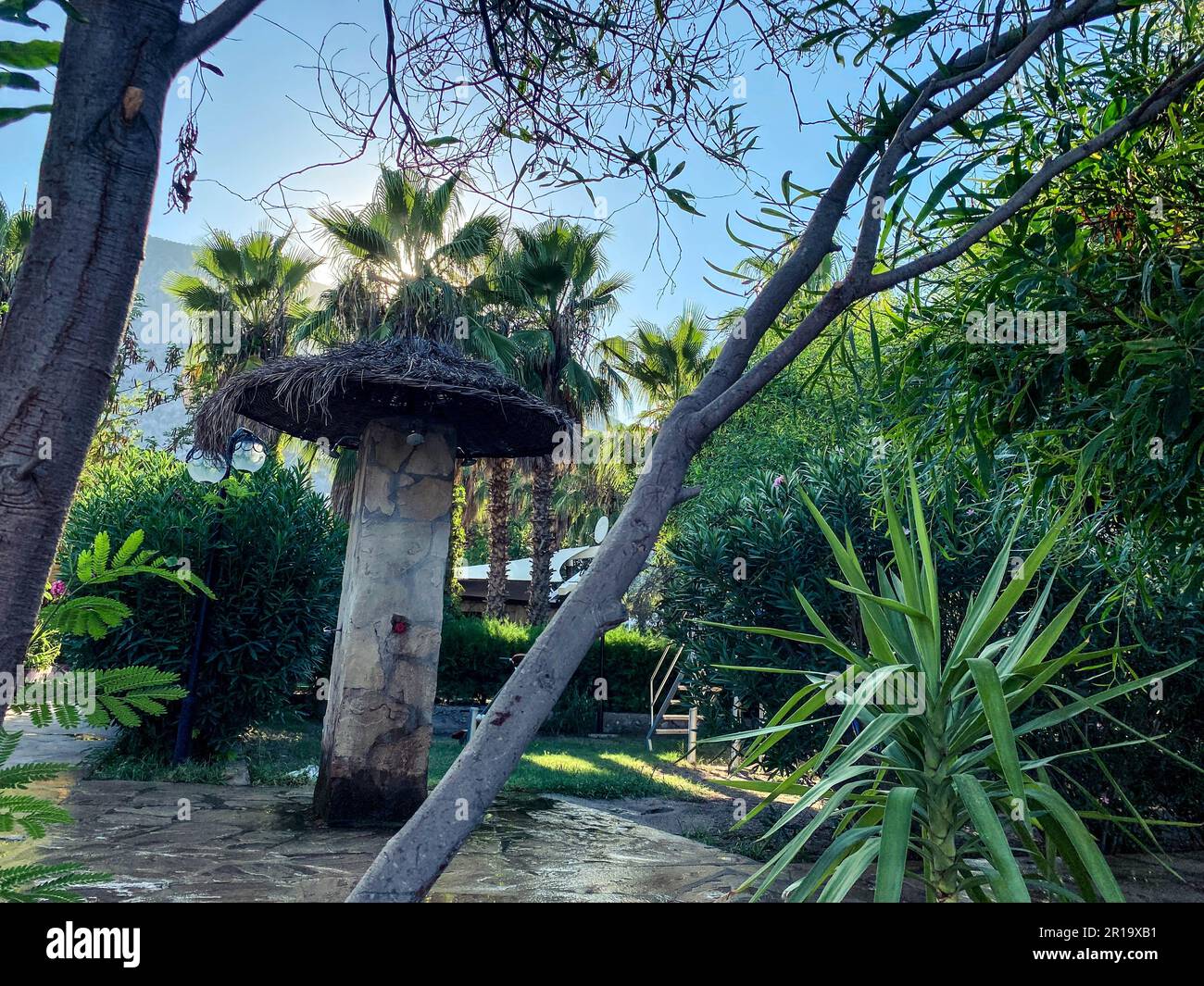 Gulf of Aqaba Red sea bay beach scenic landscape photography in the ...