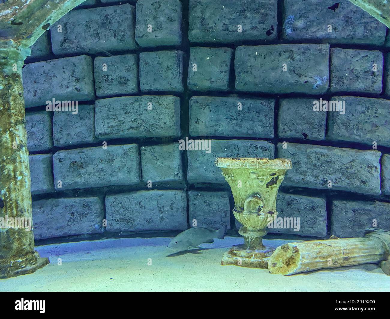 the ancient city sank under water due to the wreck. plaster sculptures ...