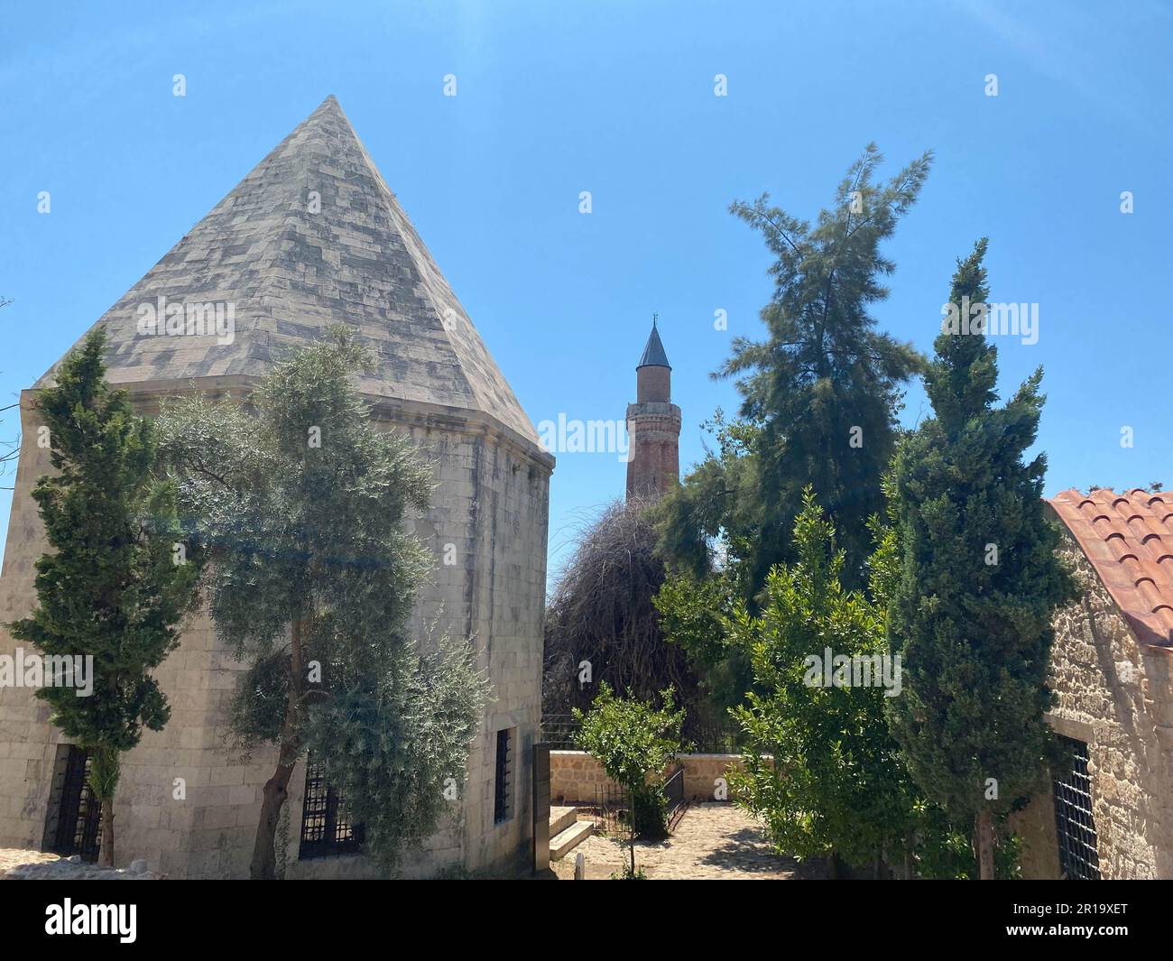 Narrow residential street in the old city of Istanbul. Seagulls on red ...