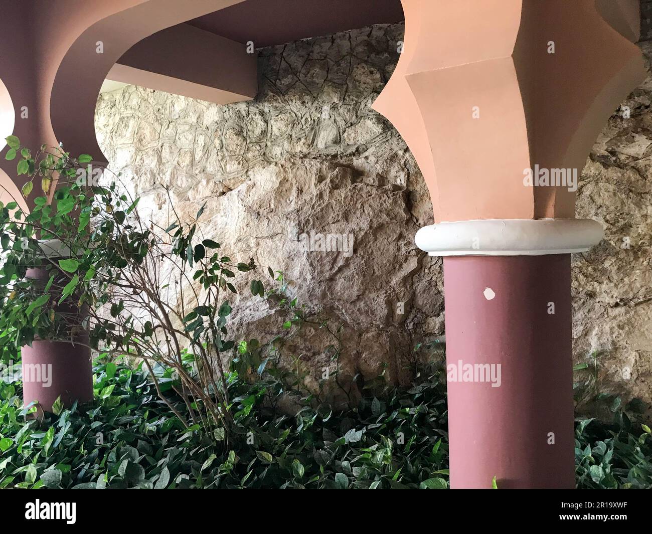 Large columns of round, carved and green tropical plants against the ...