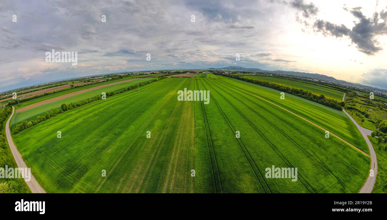 Wide angle shot grain hi-res stock photography and images - Alamy
