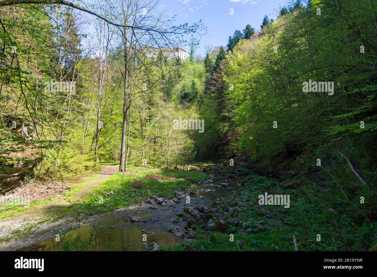 Gutenberg-Stenzengreith: gorge Raabklamm, river Raab, Schloss Gutenberg ...