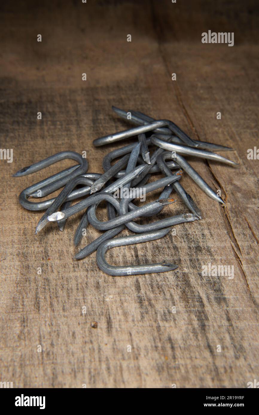 pile of heavy barbed wire staples for construction and carpentry Stock ...