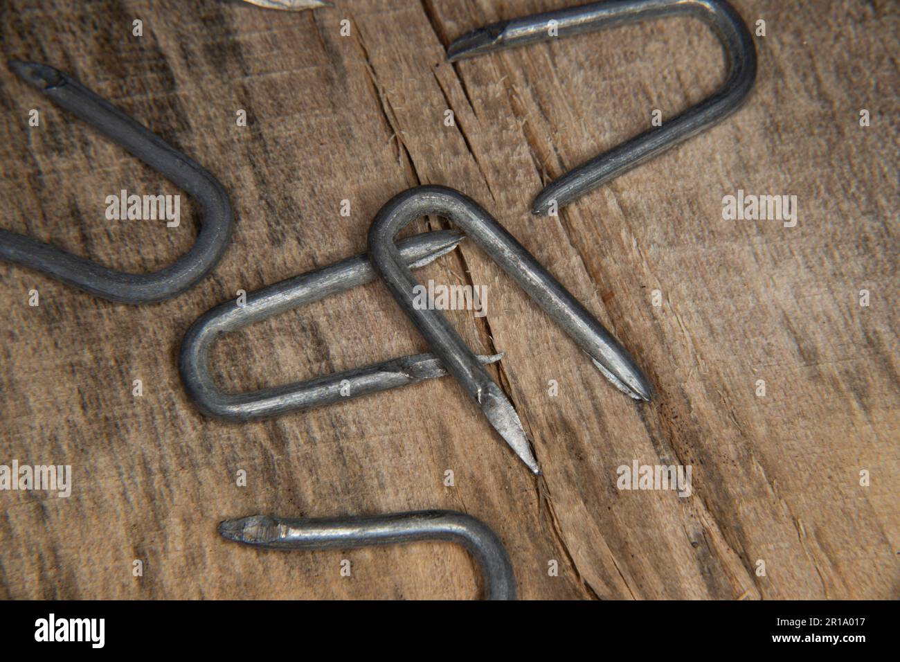 scattered pile of heavy barbed wire staples for construction and ...