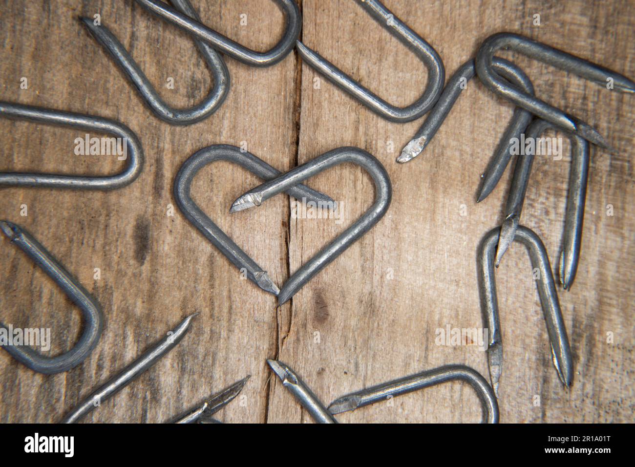 pile of heavy barbed wire staples for construction and carpentry Stock ...