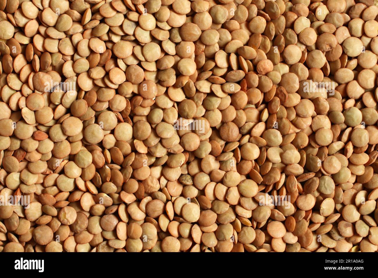 Organic green lentils hi-res stock photography and images - Alamy