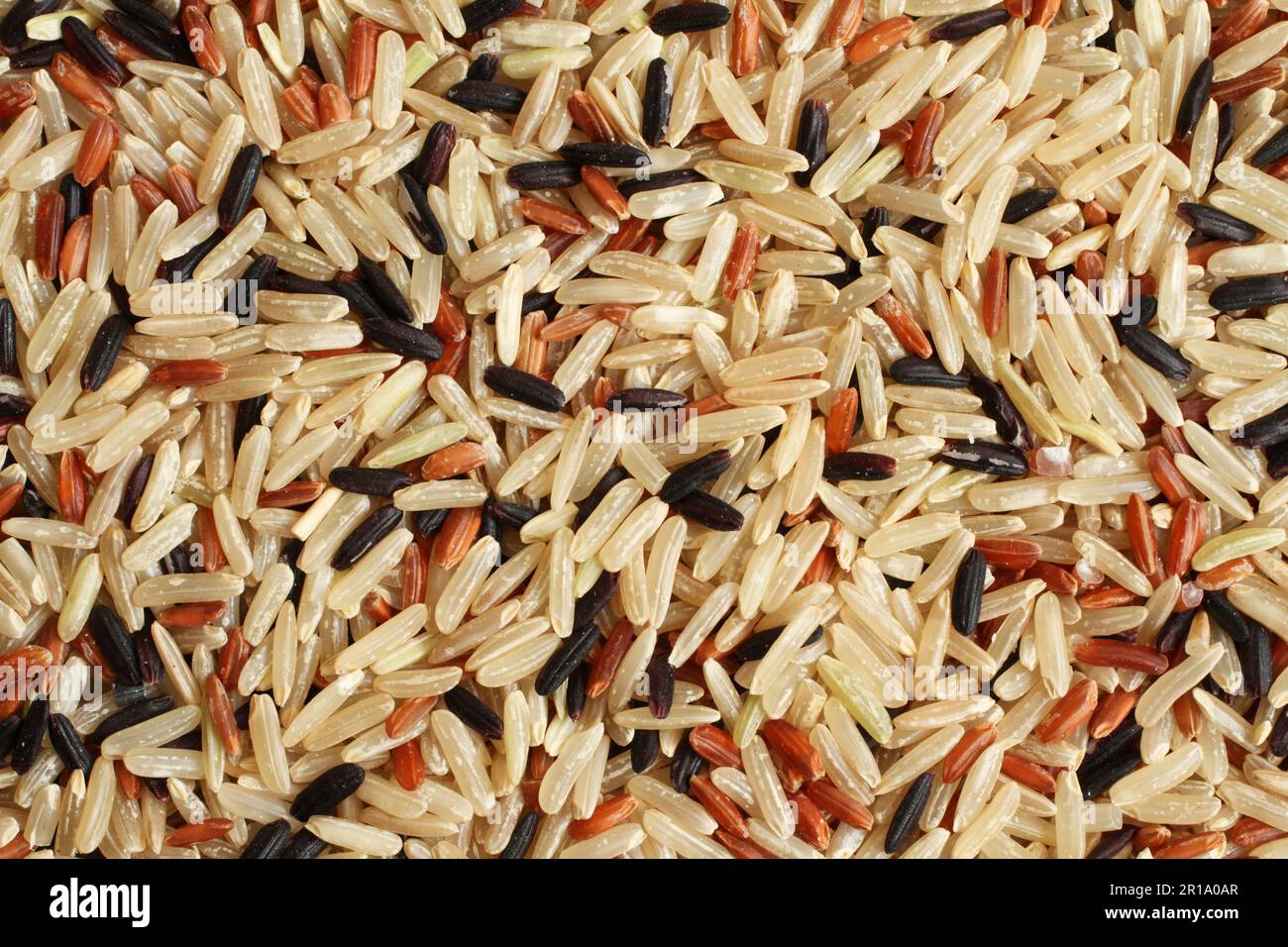 Top down view on pile of wild rice. Macro. Closeup Stock Photo - Alamy