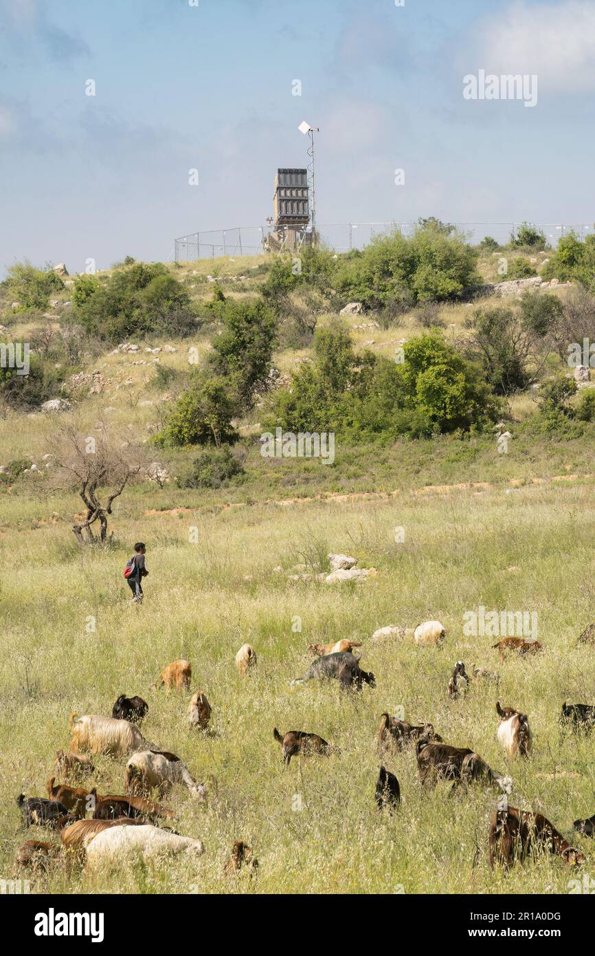 Jerusalem, Israel - May 6th, 2022: A herd of goats with their shepherd ...