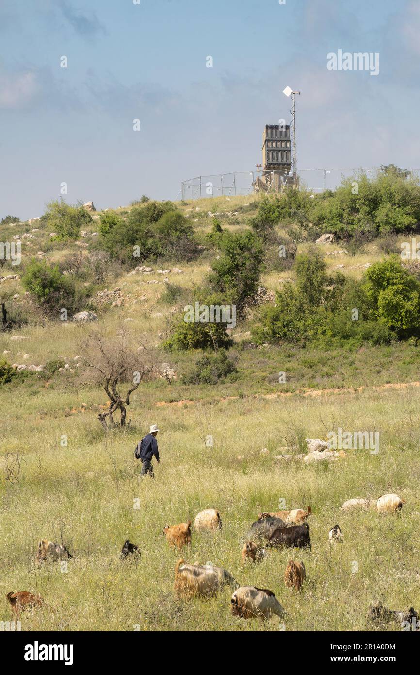 Jerusalem, Israel - May 6th, 2022: A herd of goats and sheep with their ...