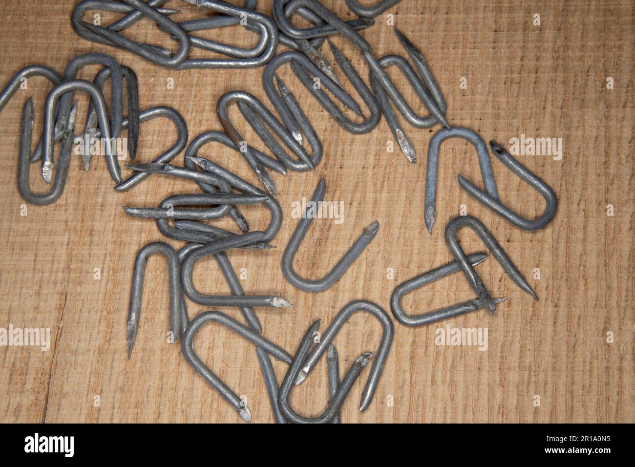 pile of heavy barbed wire staples for construction and carpentry Stock ...