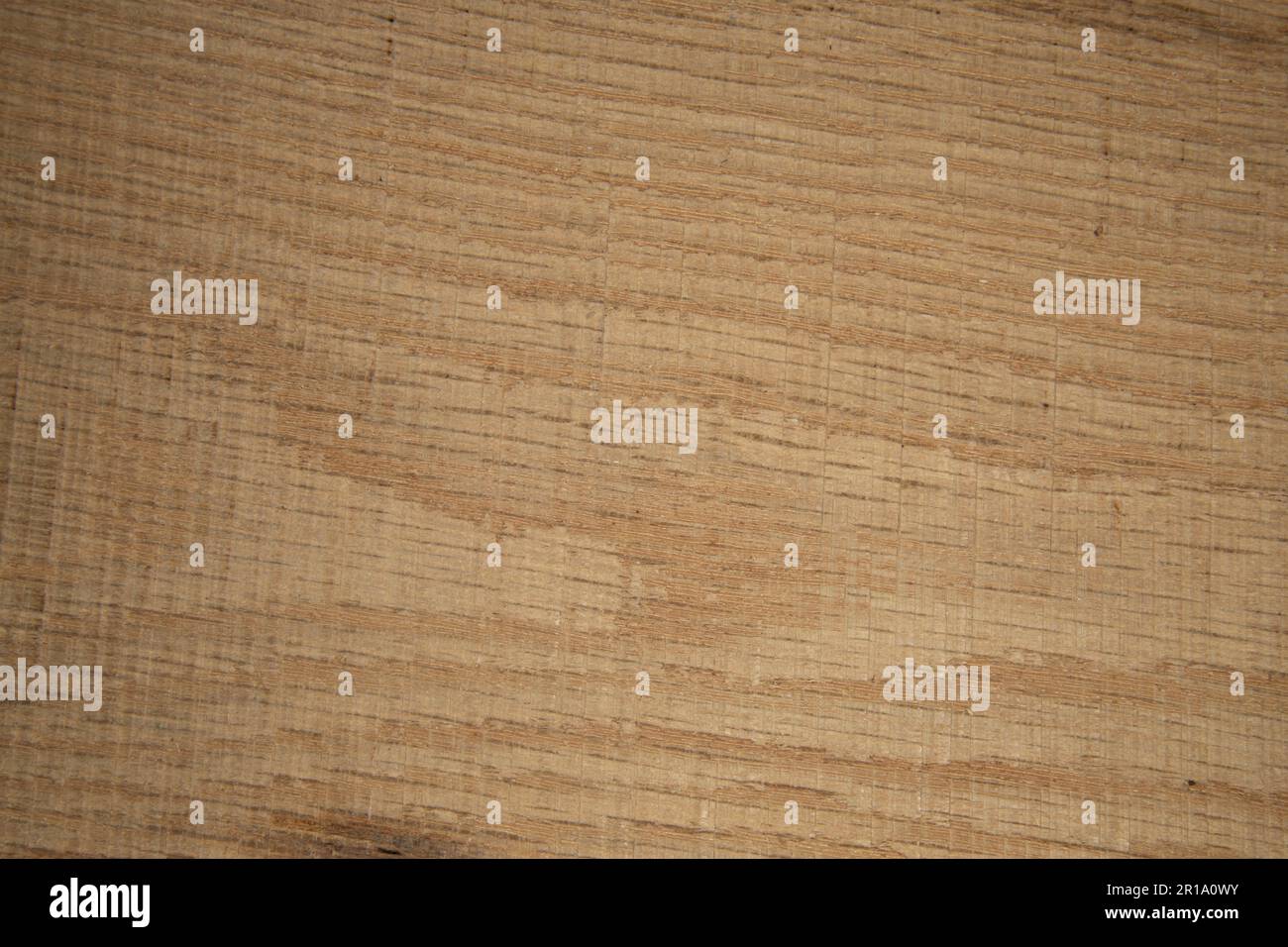horizontal close up of oak board with detailed grain texture Stock ...