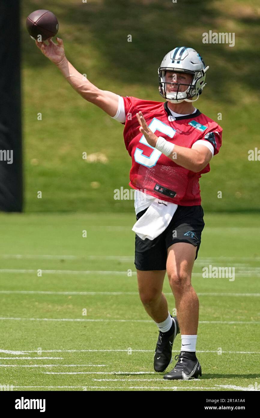 Carolina Panthers quarterback Taylor Powell runs drills during the NFL ...