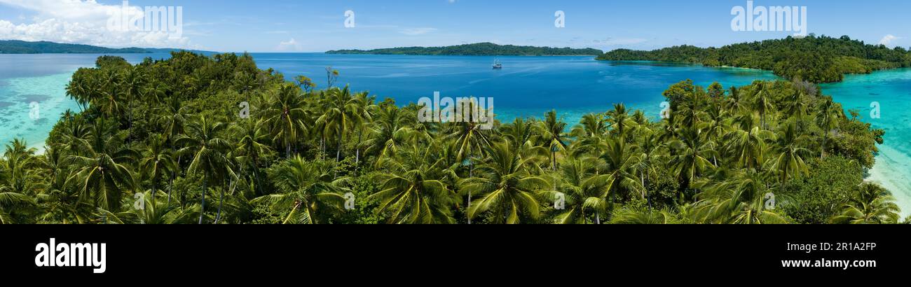 Palm trees grow on a scenic tropical island off the coast of West Papua ...