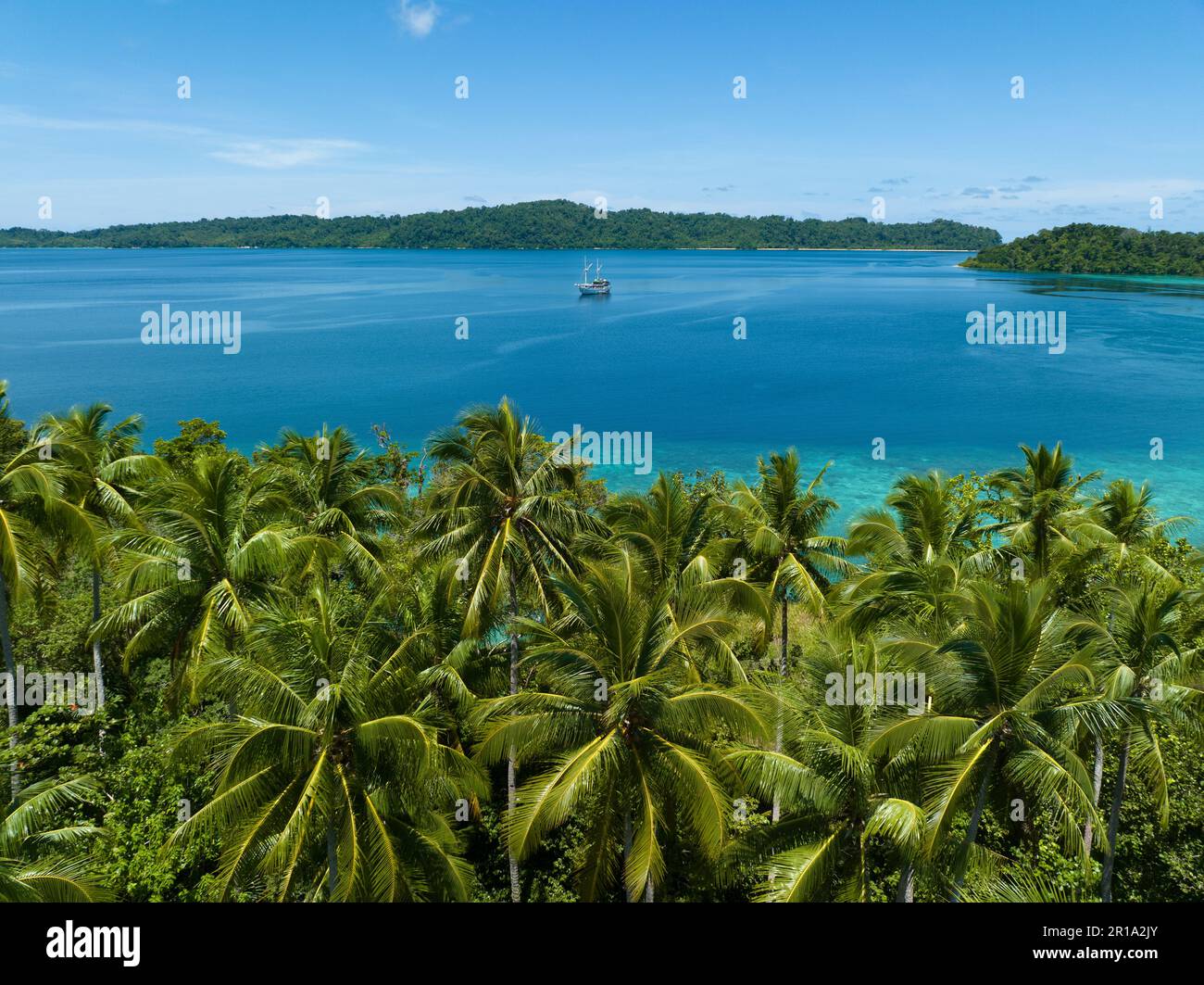 Palm trees grow on a scenic tropical island off the coast of West Papua ...