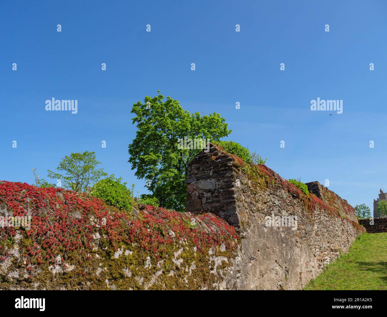 the city of Saarburg at the saar river in germany Stock Photo - Alamy