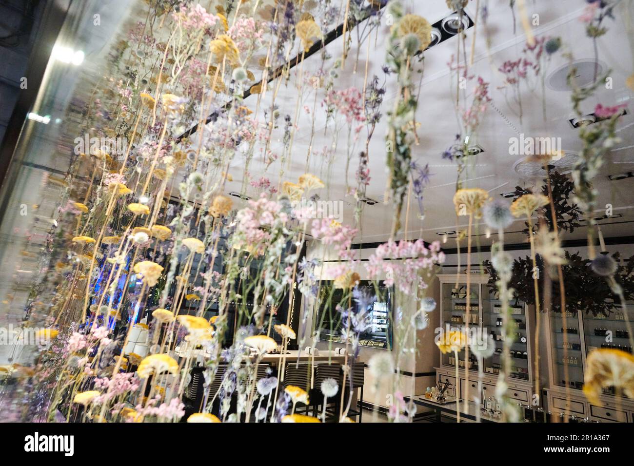 Stunning window display of floating flowers in spring Stock Photo - Alamy