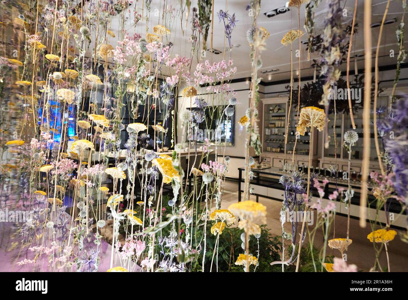 Stunning window display of floating flowers in spring Stock Photo - Alamy