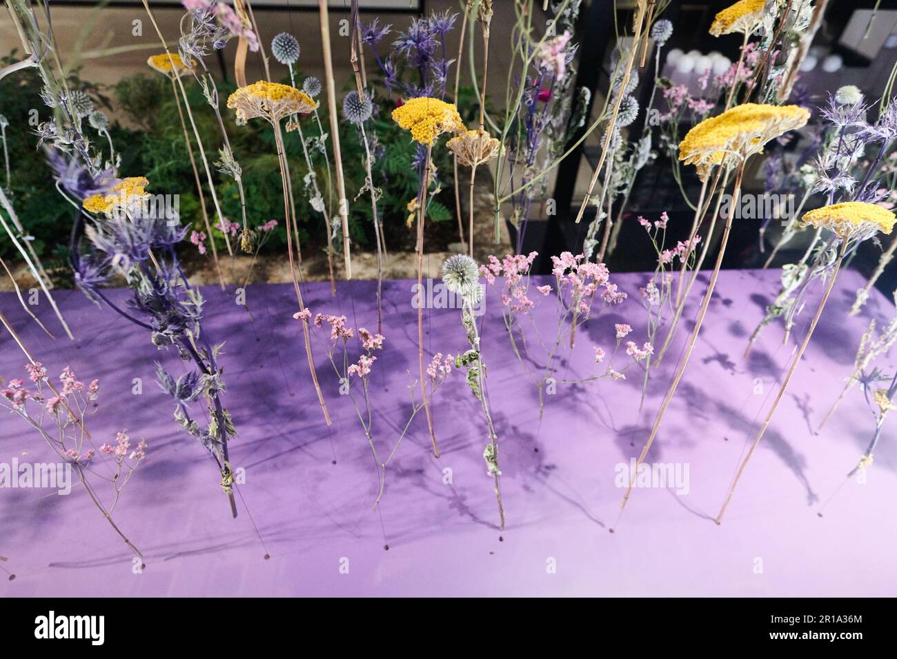 Stunning window display of floating flowers in spring Stock Photo - Alamy