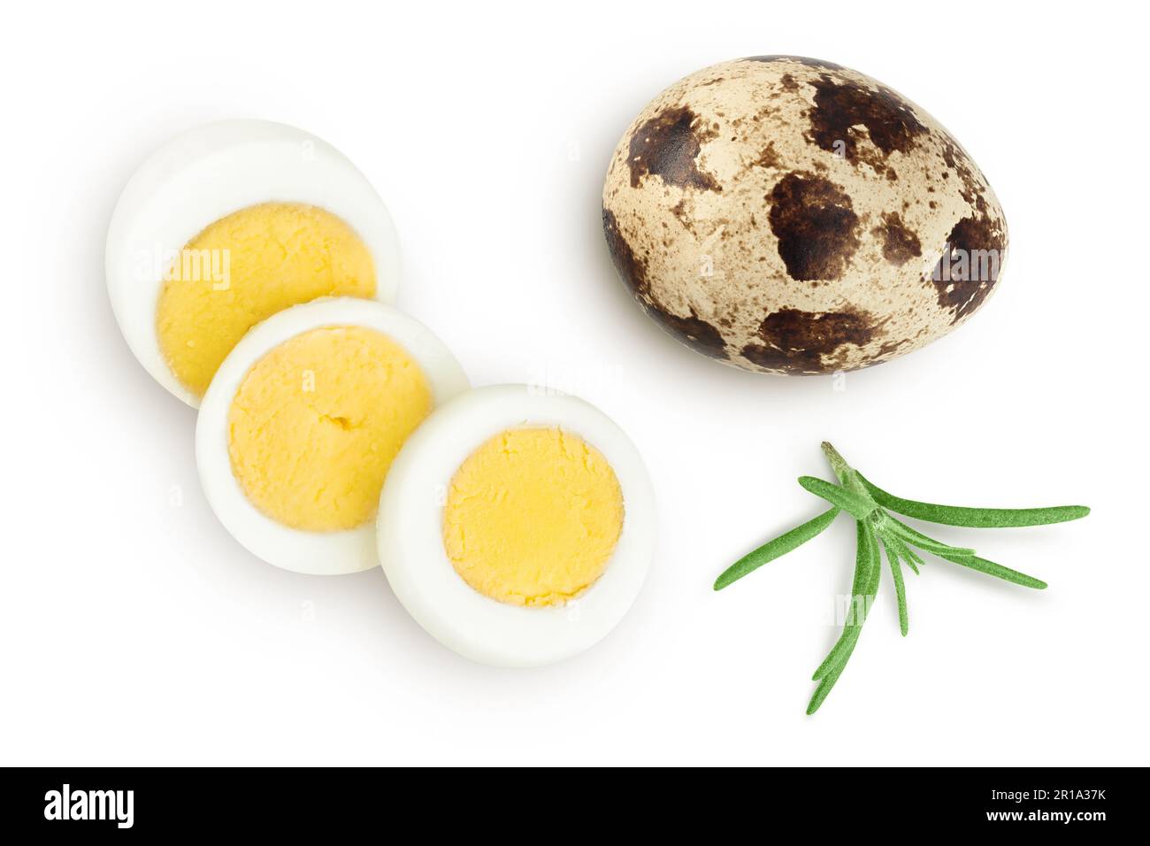 boiled quail egg isolated on white background with full depth of field ...