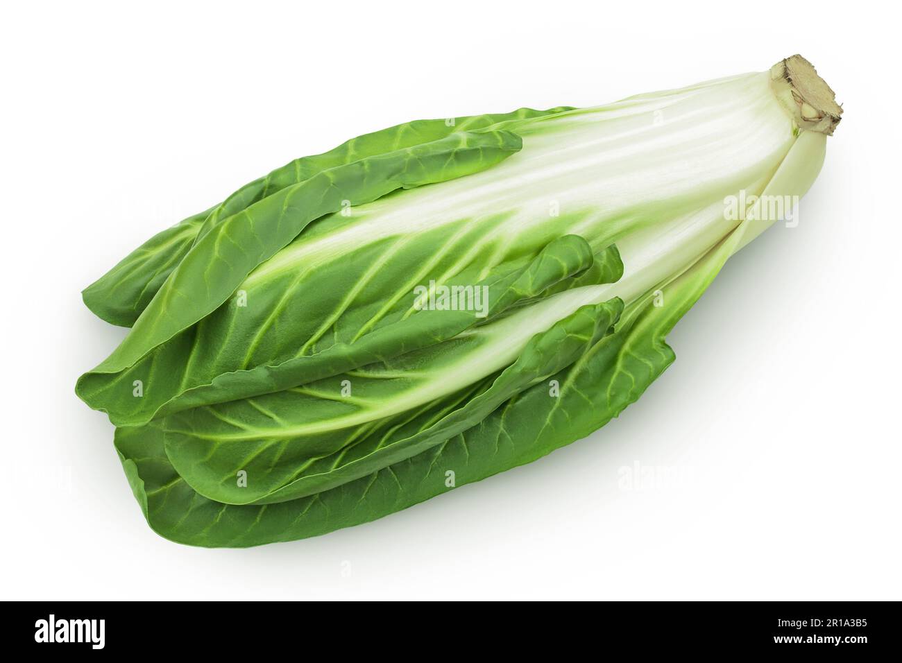 Organic fresh chard plant isolated on white background with full depth ...