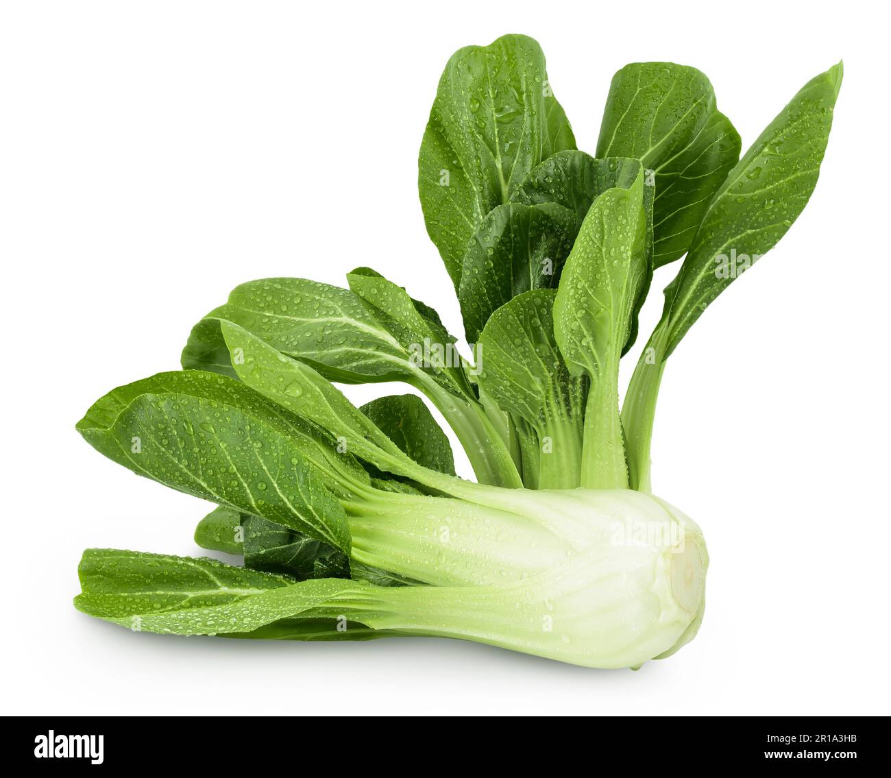 Fresh pak choi cabbage isolated on white background with full depth of ...