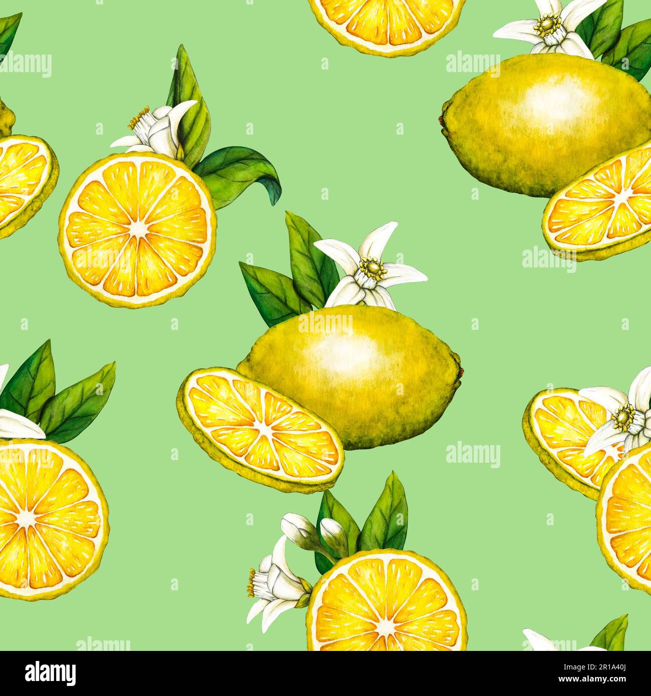 Watercolor seamless pattern lemon slice. Hand drawn botanical ...