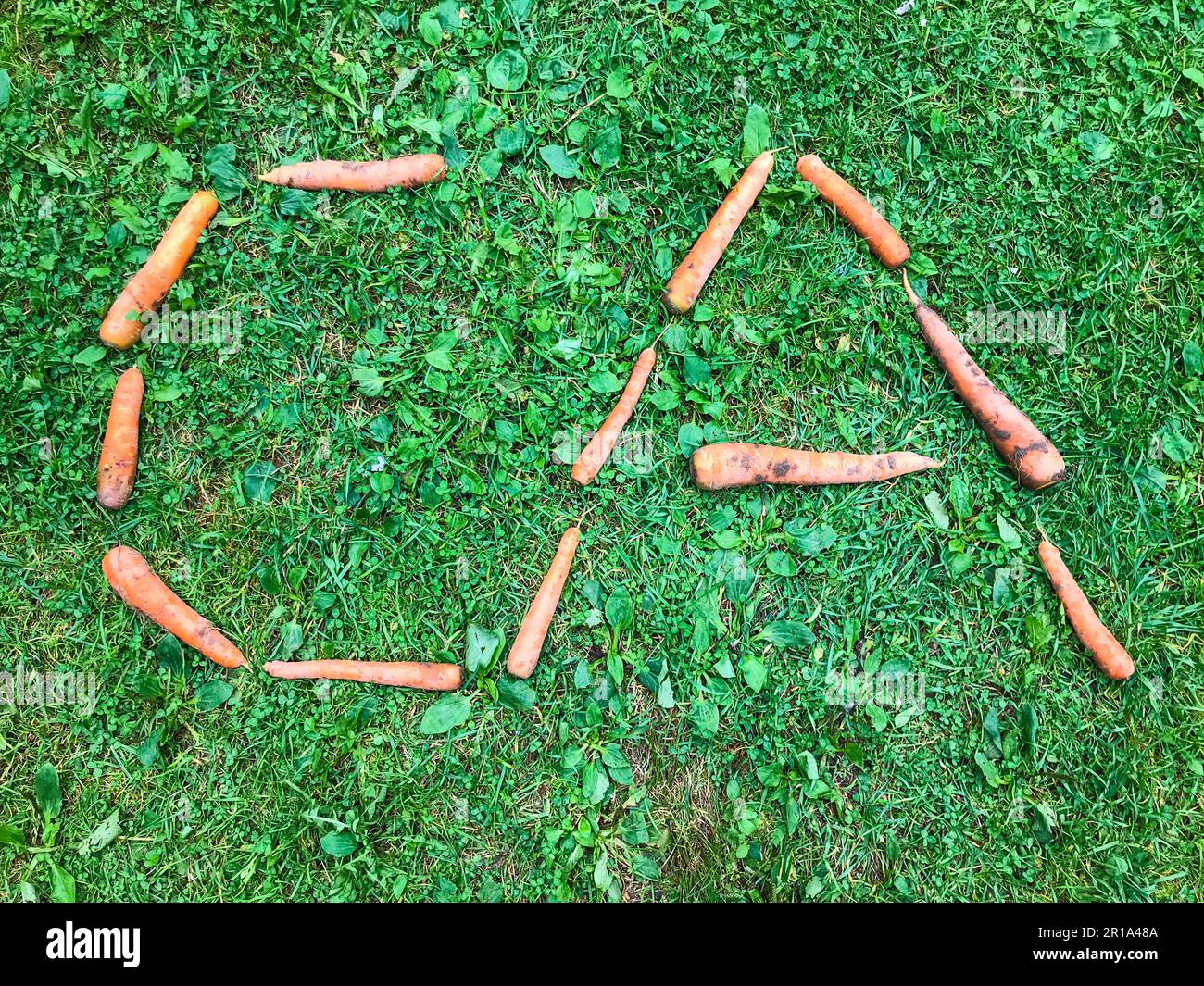 carrot letters lie on the lawn. the letters C and A on the grass ...