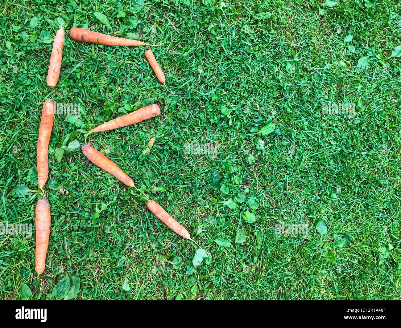carrot letters lie on the lawn. letter r on the grass. vitamin alphabet ...