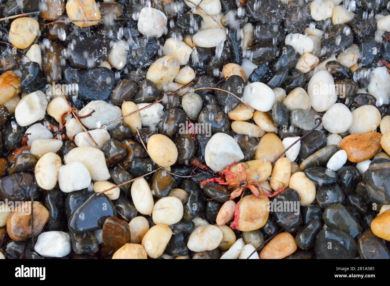 Texture of different unusual stones wet with water from different ...