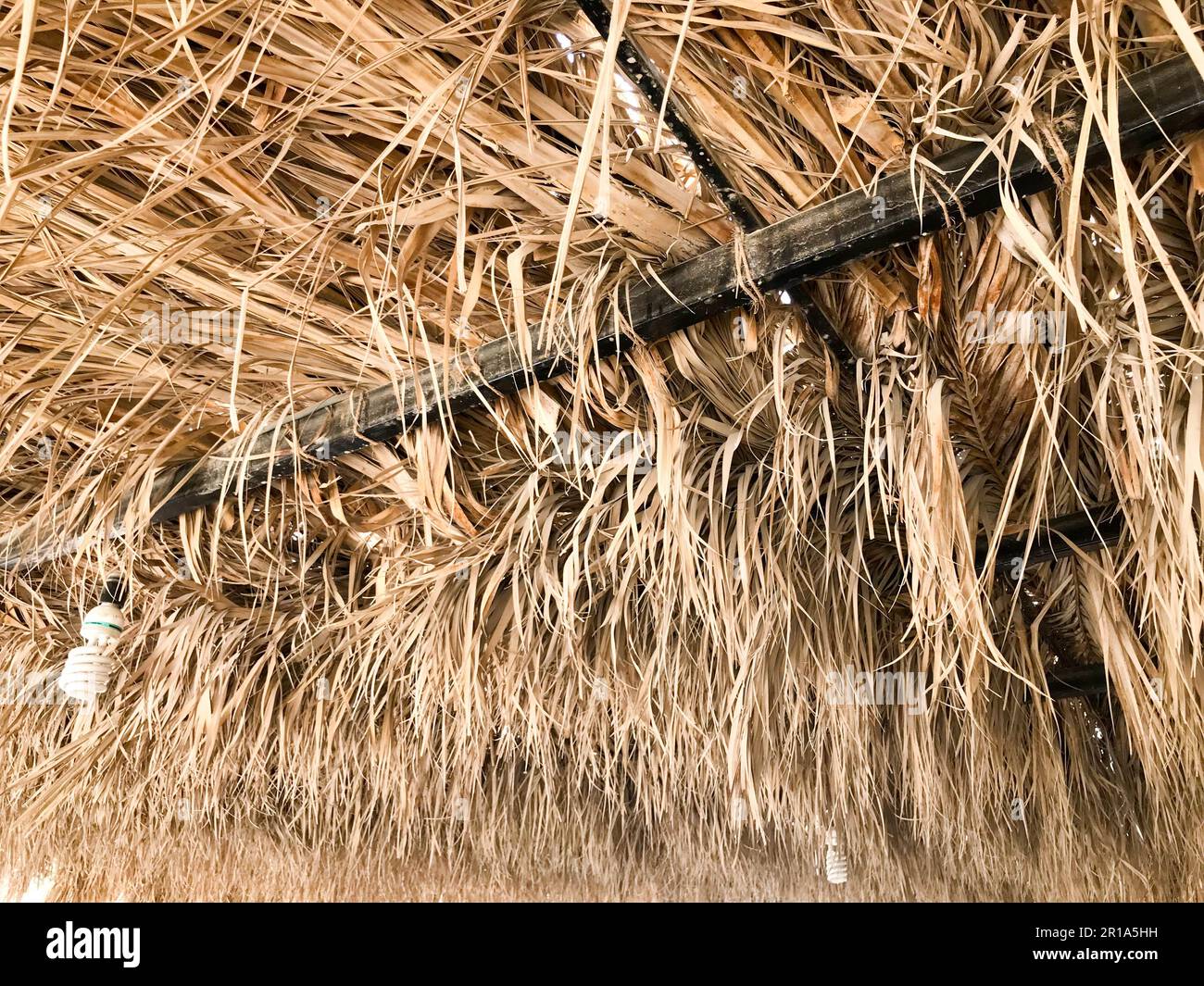 Texture from sagging dry yellow orange natural beautiful withered ...