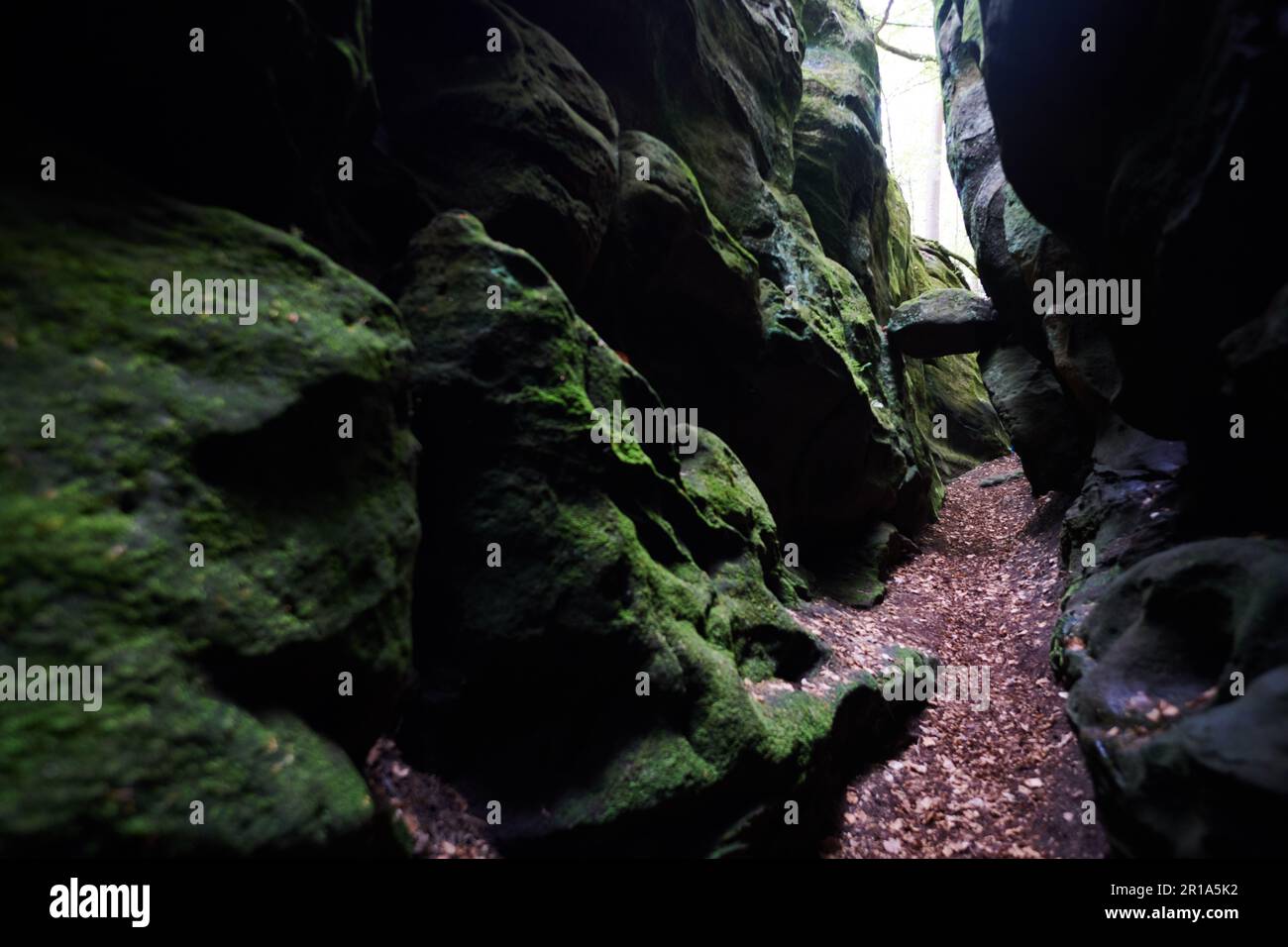 The Mullerthal region in Luxembourg is also known as little Switzerland ...