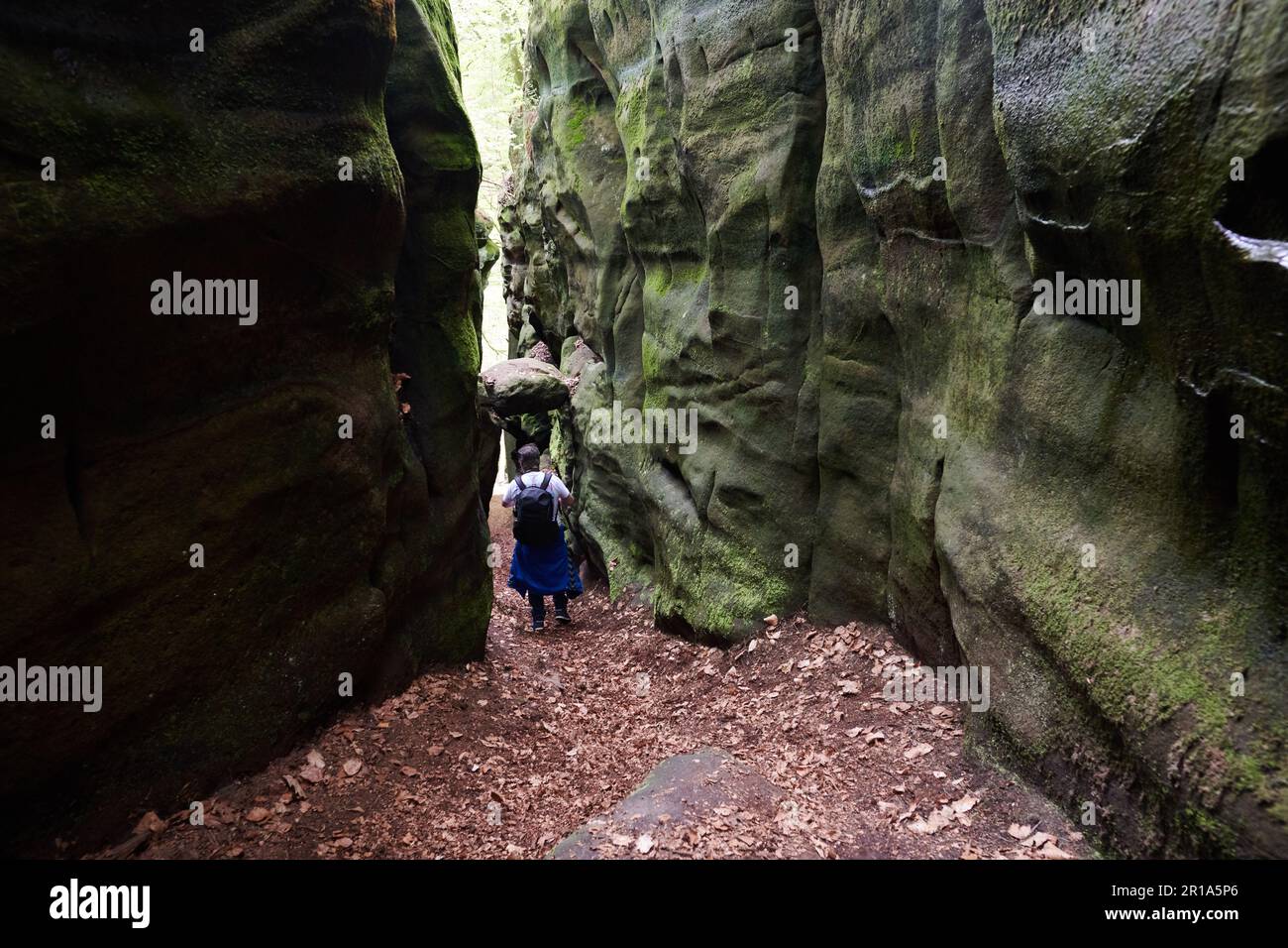 The Mullerthal region in Luxembourg is also known as little Switzerland ...